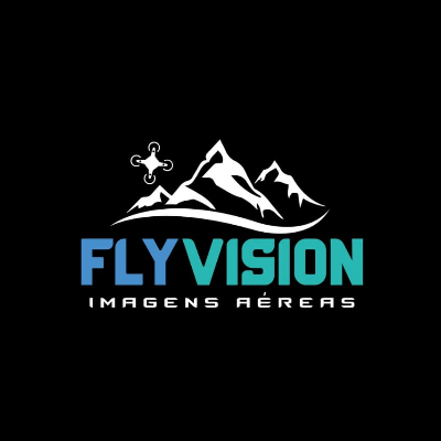Fly Vision