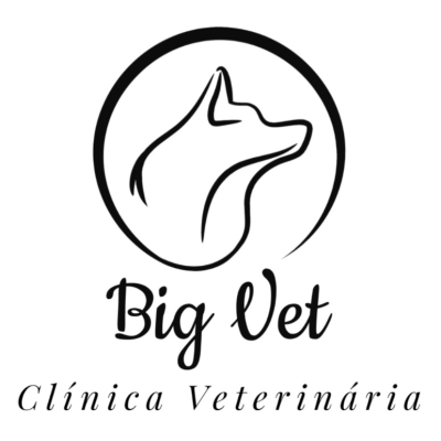 BIG VET LTDA